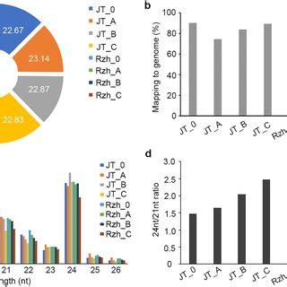 Small RNA Sequencing Quality And Length Distribution A Total SRNA Download Scientific
