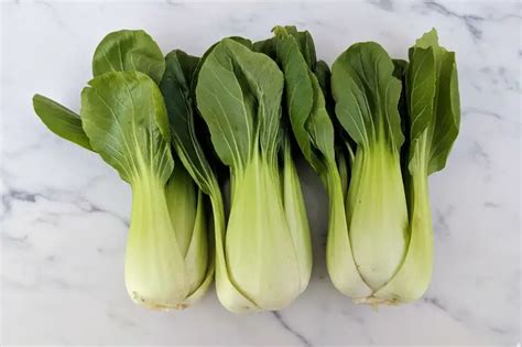 Paksoi Chinese Kool Met Licht Bittere Smaak En Veel Vitamine C 3 Recepten Goodfeeling