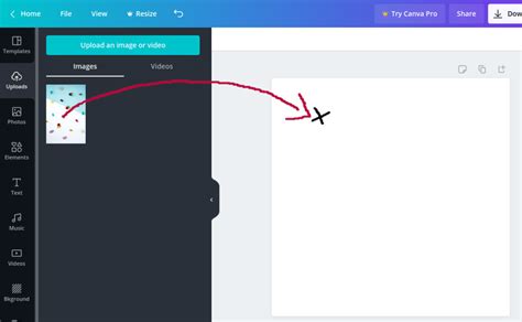 How To Size And Crop Your Photos With Canva ShowWiz