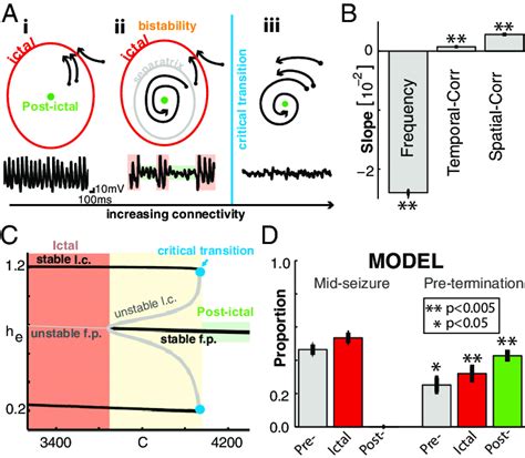 computational model of seizure termination mimics the observed