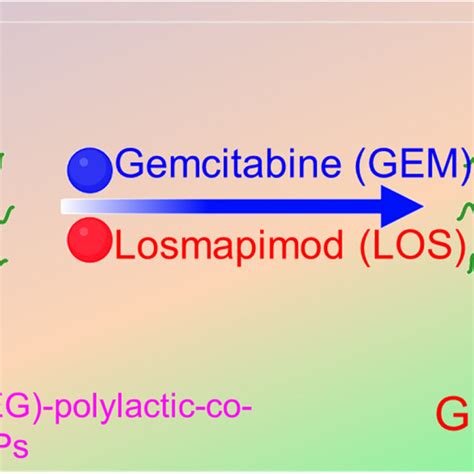 Schematic Demonstration Of The Fabrication Of Gemcitabine Gem And