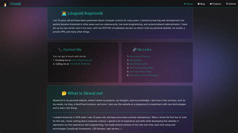 GitHub SkwalExe Skwal Net V I Didn T Really Like Django So I M Recreating The Site With Nuxt Js