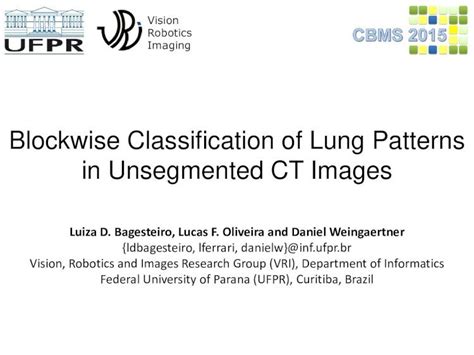 Pdf Blockwise Classification Of Lung Patterns In Unsegmented
