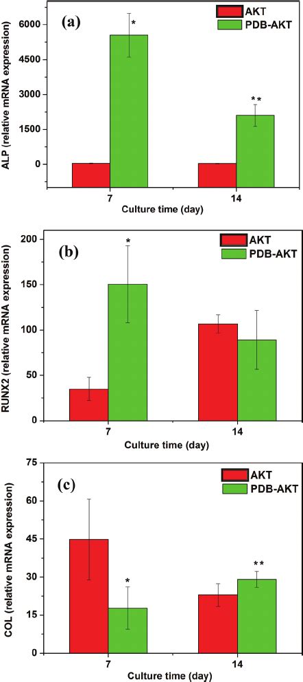 Bone Related Gene Expression Of 3T3 Cells On AKT And PDB AKT Download Scientific Diagram