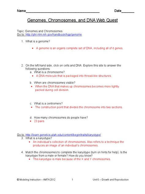 03 Genome Chromosome And Dna Webquest 2 Pdf Chromosome Genome