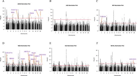 Manhattan Plots Showing The Association Statistics For Multi Trait