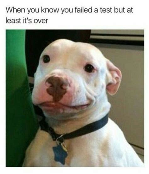 When You Know You Failed A Test But At Least Now Its Over Funny