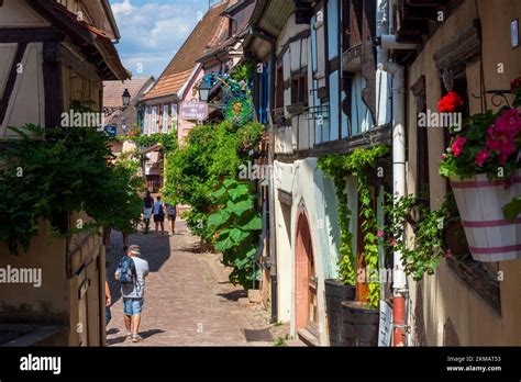 Eguisheim Egisheim Old Town Narrow Alley Half Timbered Houses