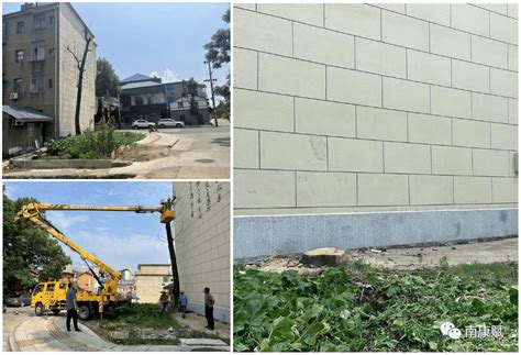 立即行动！庐山市一居民反映一处安全隐患···社区枯树迎春桥