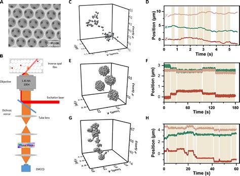 Nanomotor Enhanced Transport Of Passive Brownian Particles In Porous Media Science Advances