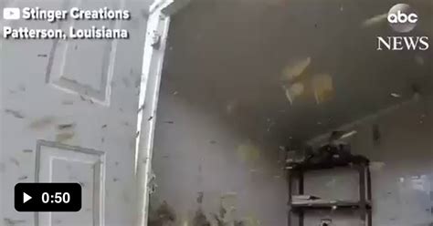 Zzzzzzzzzzzzzzzzzzzzzzzzzzz 9gag