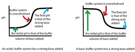 Buffer Calculations And Explanations Flashcards Quizlet