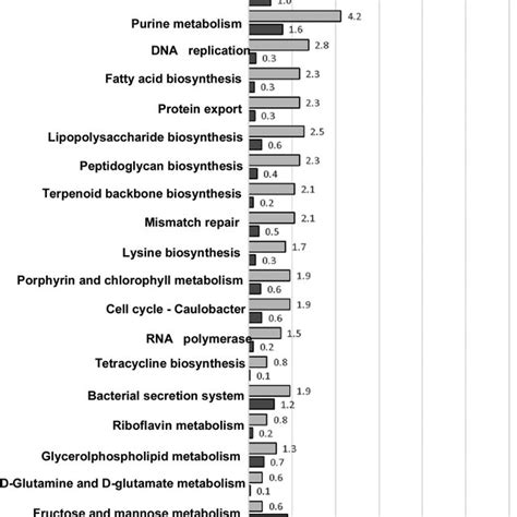 Essential E Coli A192pp Genes In Each Selected Kegg Functional Download Scientific Diagram