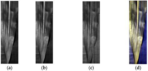 Nondestructive Determination Of Leaf Nitrogen Content In Corn By