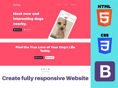 Create Simple Html Css Website By Shreyanshp23 Fiverr