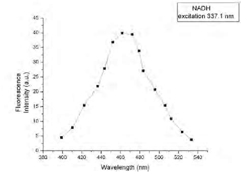 Fluorescence Emission Of Nadh Download Scientific Diagram