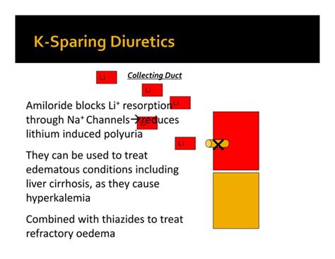 Class Diuretics Ppt