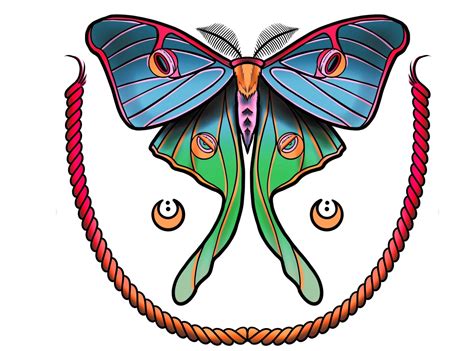 Luna Moth By Scott Connick On Dribbble