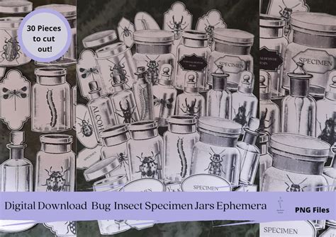 Bug Insect Creepy Crawlies Horror Digital Printable Specimen Jars Tags