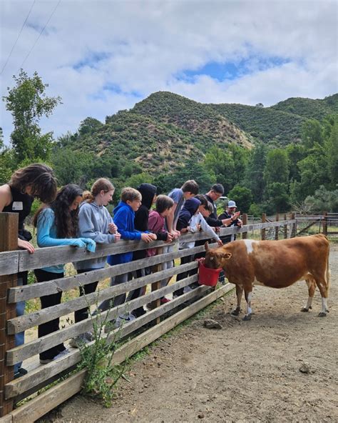 Hidden Villa From Curious To Connected In Just 90 Minutes 🐄 During