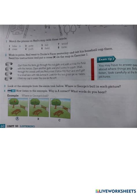 Recording Script Worksheet Live Worksheets