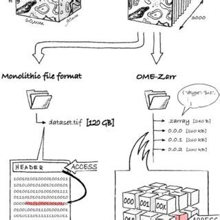 Technical Differences Between Monolithic And Chunked File Formats