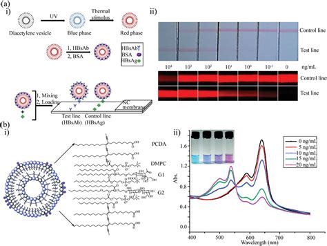 Polydiacetylene‐based Biosensors For The Detection Of Viruses And