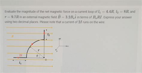Solved Evaluate The Magnitude Of The Net Magnetic Force On A