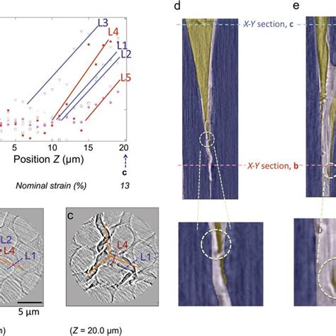 Crack Propagation Susceptibility At Different Locations A Crack Download Scientific Diagram