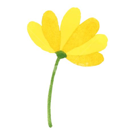 꽃 봄 수채화 식물 꽃잎 사진 이미지 일러스트 캘리그라피 Yisoh작가