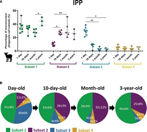 Subset Proportions Of Intestinal Mononuclear Phagocytes In The Lambs At