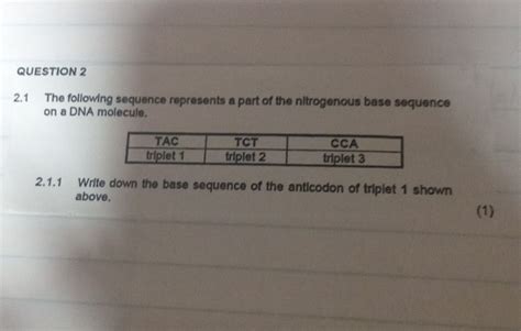 Question 2 21 The Following Sequence Studyx