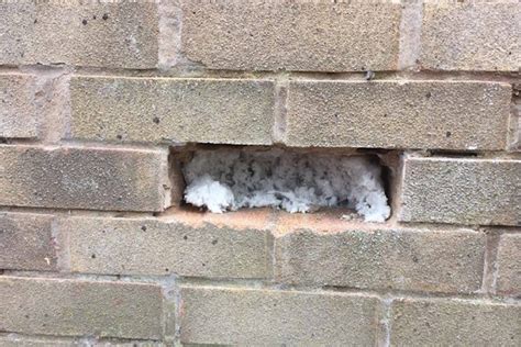 Services The Extraction Group