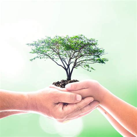 Walsworths Commitment To The Environment Walsworth