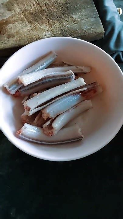 Ep188 งู Youtube