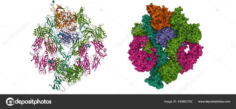 Structure Complement Complex Cartoon Gaussian Surface Models