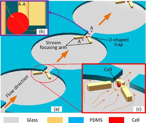 Figure 1 From A Microarray Platform For High Throughput Single Cell Capture And Culture