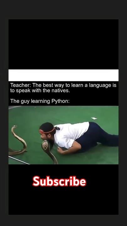 Learning Python When Codewithharry Pyhton Shorts Youtube