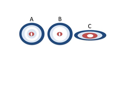 Biology Exam 2 Flashcards Quizlet