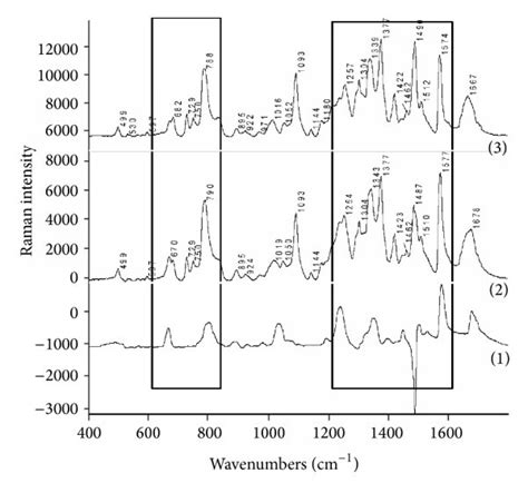 Raman Spectra A 1 Difference Raman Spectrum Of Dna And Download Scientific Diagram