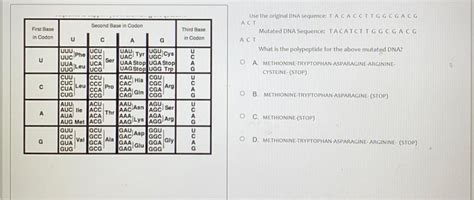 Second Base In Codon First Base In Codon Third Base Biology