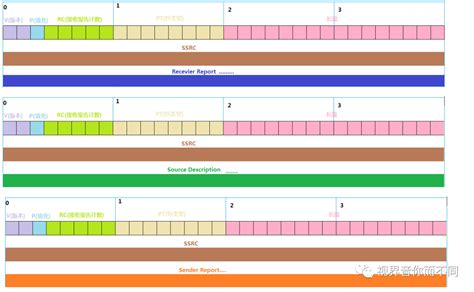 手撕rtsp协议系列（13）——rtcp协议send Report Rtp Csdn博客