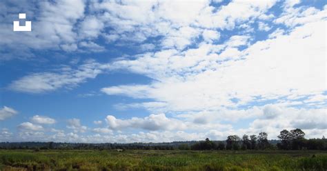 낮에는 파란색과 흰색 흐린 하늘 아래 호수 근처의 푸른 잔디밭 사진 Unsplash의 무료 파랑 이미지
