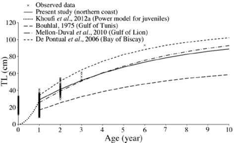 Von Bertalanffy Model For Hake Combined Sex Off The Northern Coast In Download Scientific