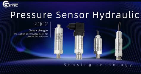 The Comprehensive Guide To Utilizing Pressure Sensor Hydraulic For