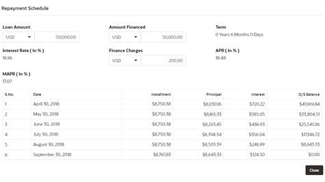 Repayment Schedule