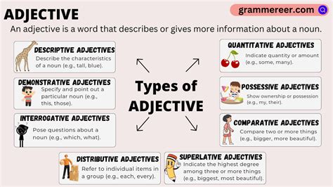Types Of Adjectives With Examples In English Grammareer