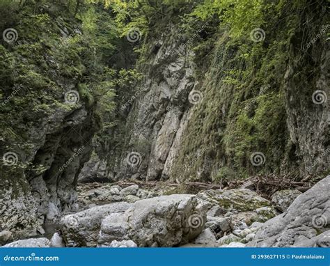 Image From Cheile Oltetului Gorge Polovragi Romania Stock Image Image Of Oltetului Gorge