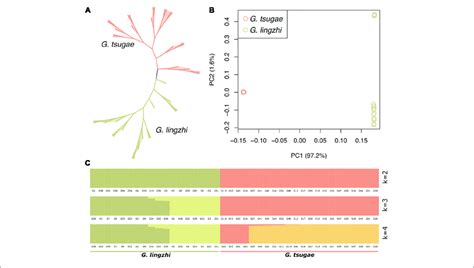 Population Analysis Using Whole Genome Resequencing Data A Download Scientific Diagram