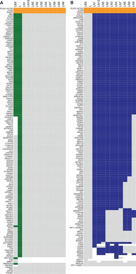 Genomic Profiling Of Multiple Sequentially Acquired Tumor Metastatic Sites From An “exceptional